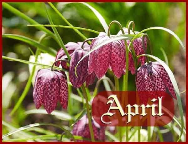 Month of April Meaning
