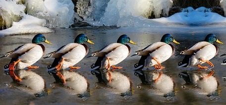 March Spiritual Meaning