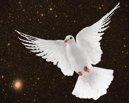 Wazn Fixed Star Meaning Astrology